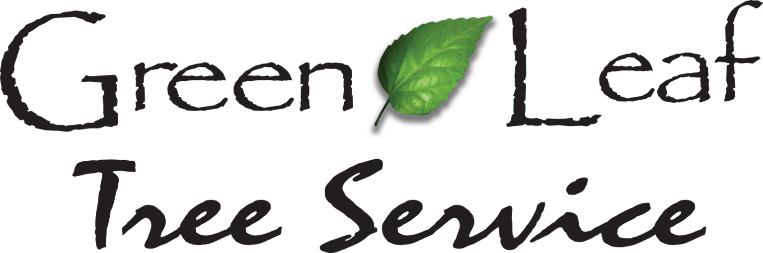 Tree Pruning and Removal | Debris Hauling | Green Leaf Tree Service
